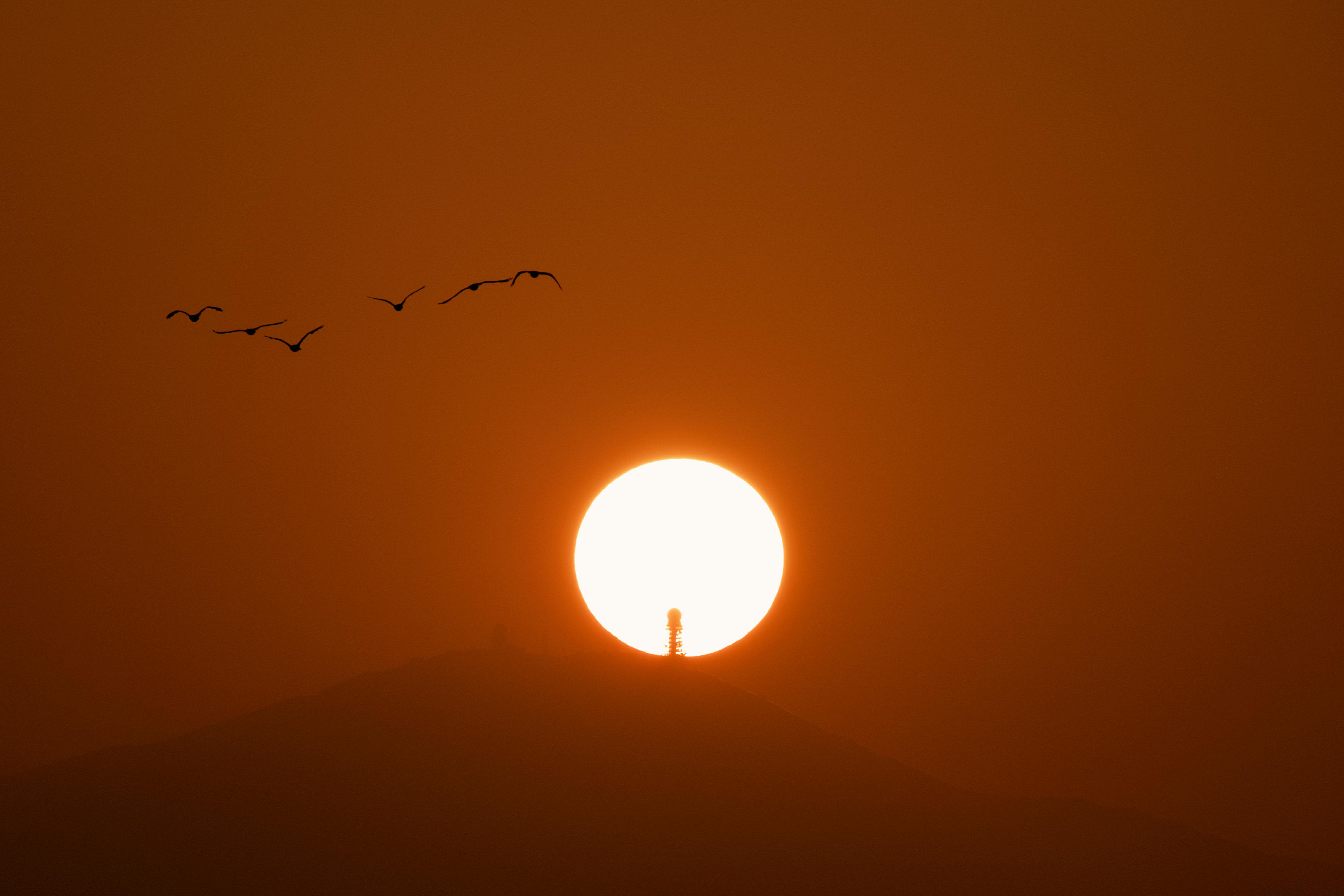 Silhouette Of Shenzhen Bay EYESHENZHEN