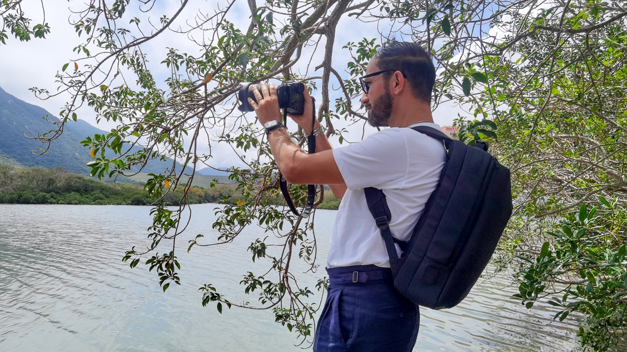 Spring comes to mangrove forests_EYESHENZHEN