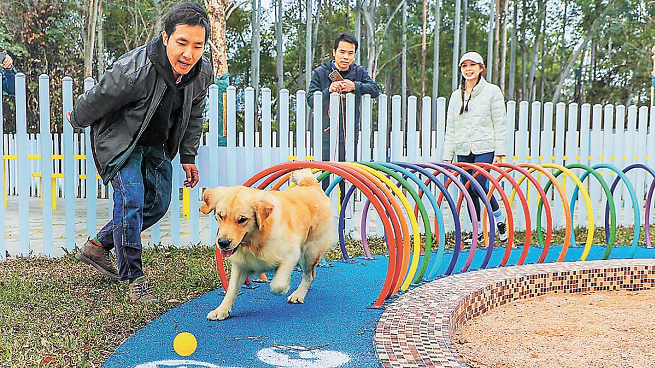 New parks to check out during Spring Festival_EYESHENZHEN