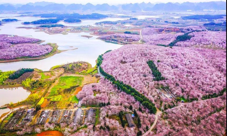 Meet Guizhou in spring: nature, culture and more_EYESHENZHEN