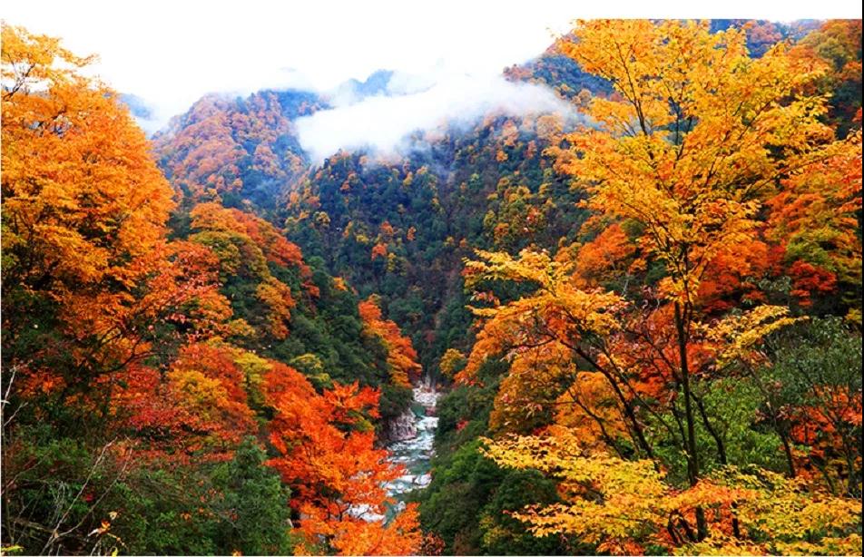 Lesser-known places to see fall foliage in China (II)_EYESHENZHEN