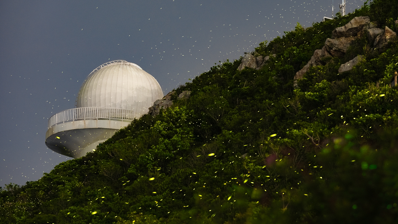 Xichong, where stars meet fireflies_EYESHENZHEN