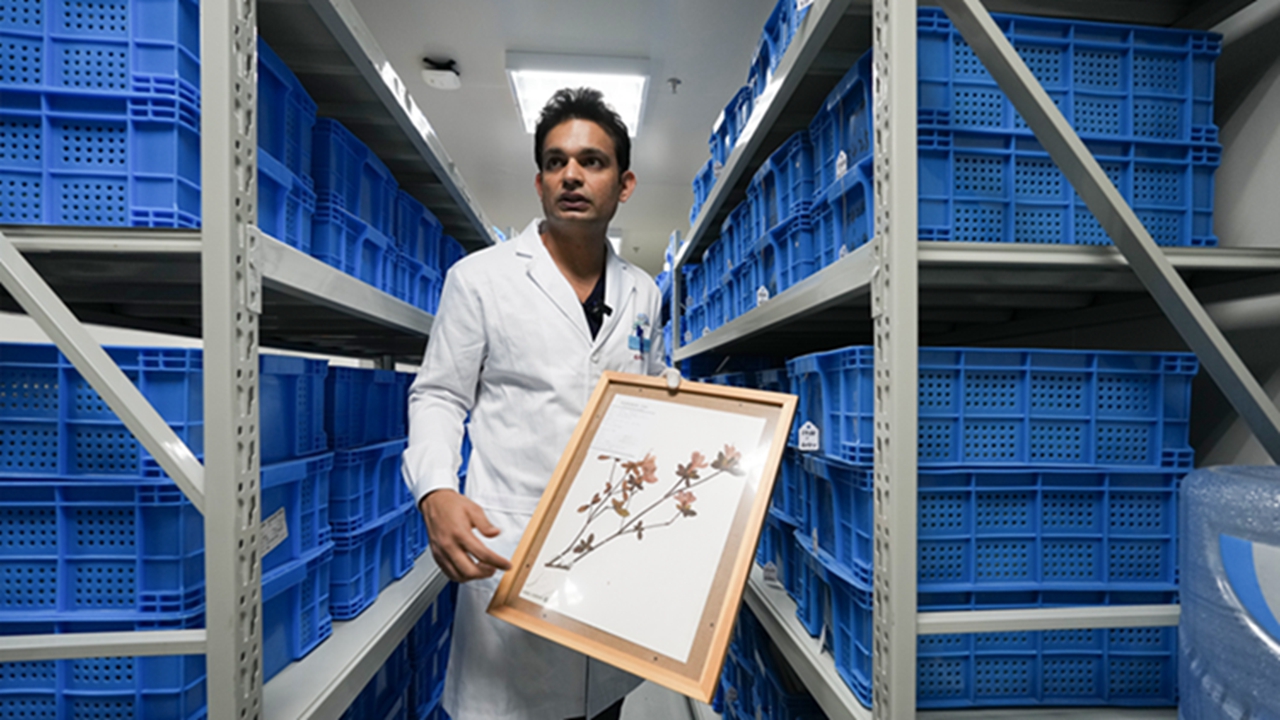 BGI scientist praises SZ as a well-balanced city_EYESHENZHEN