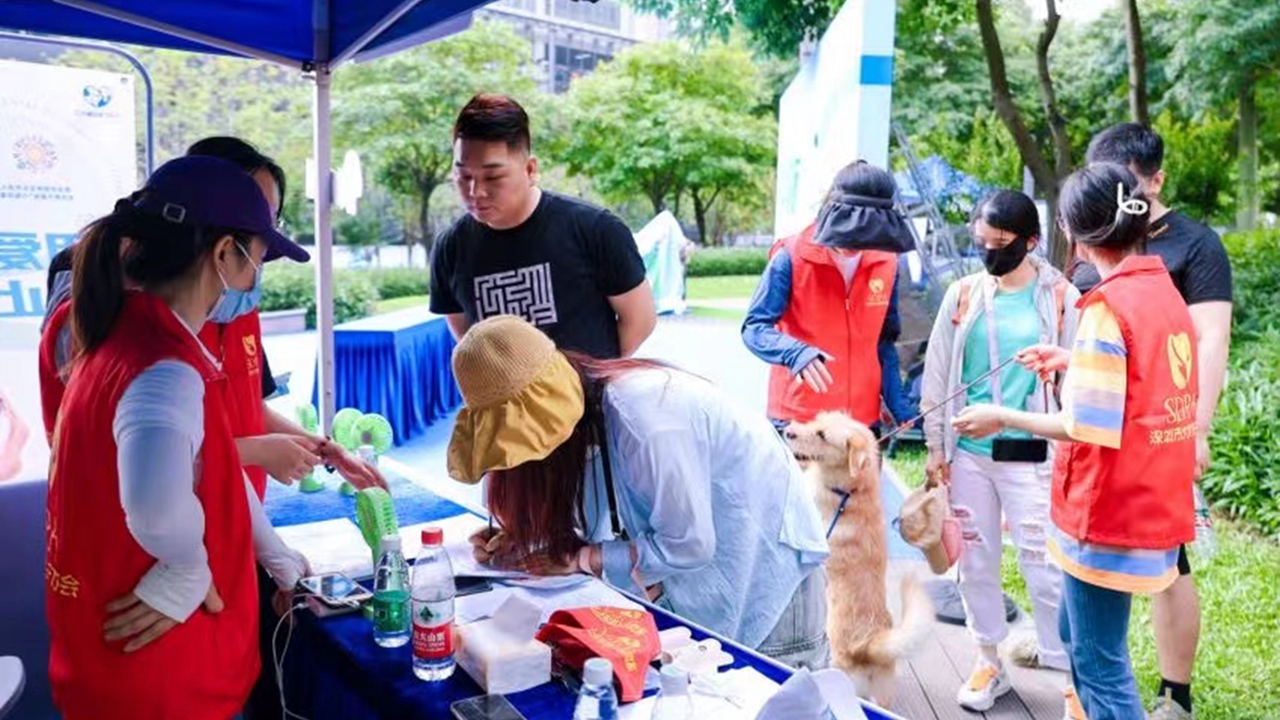 City marks Pet Dog Day with themed activities_EYESHENZHEN