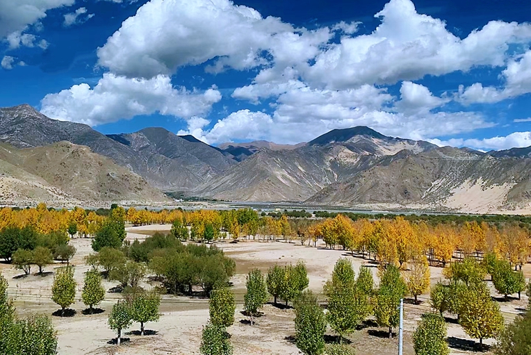 Discover Linzhi as direct flight route opens_EYESHENZHEN