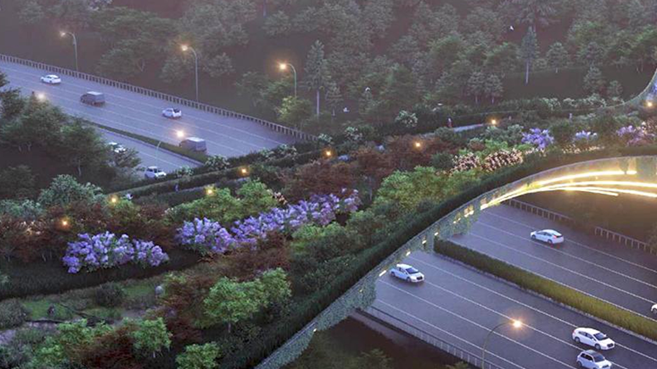 Ecological bridge to be put into use by year-end_EYESHENZHEN