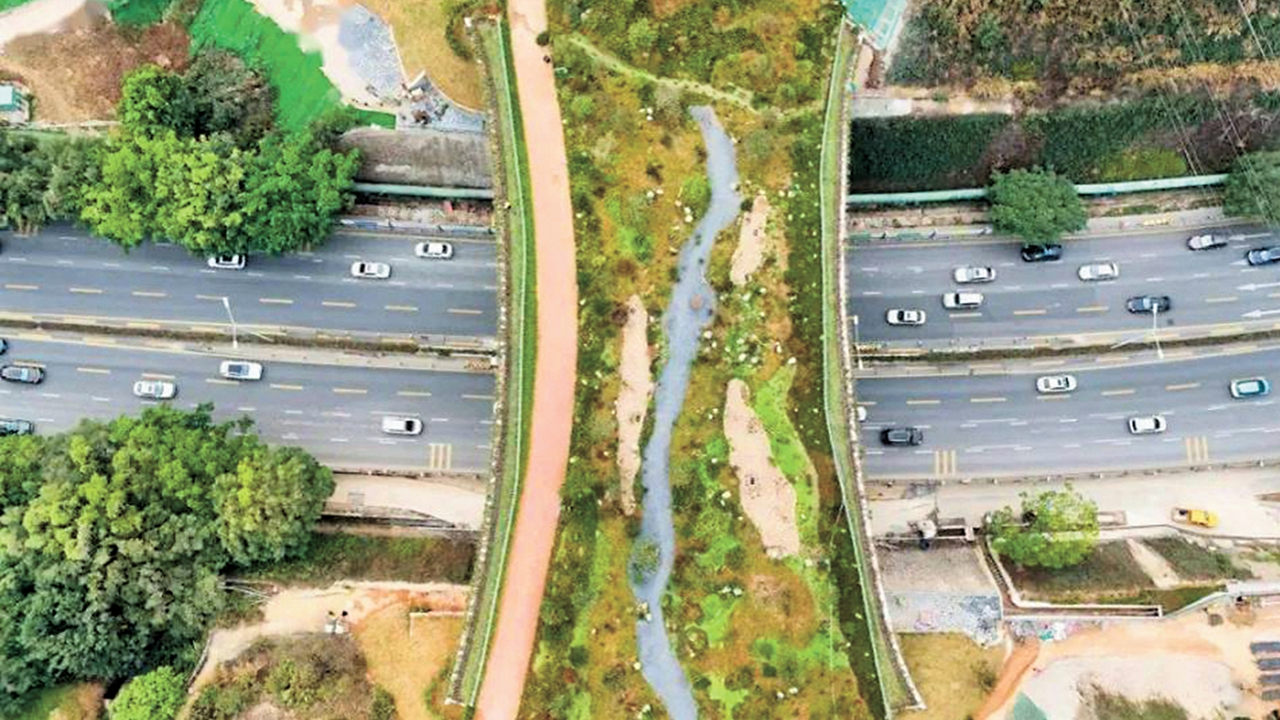 5 urban parks linked; let's walk!_EYESHENZHEN