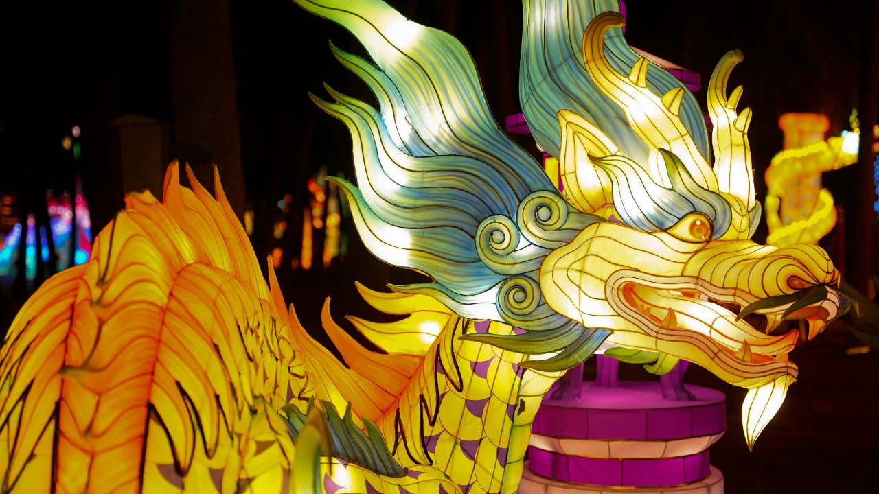 Weekend Fun | Light show, car expo, concerts and more in SZ_EYESHENZHEN