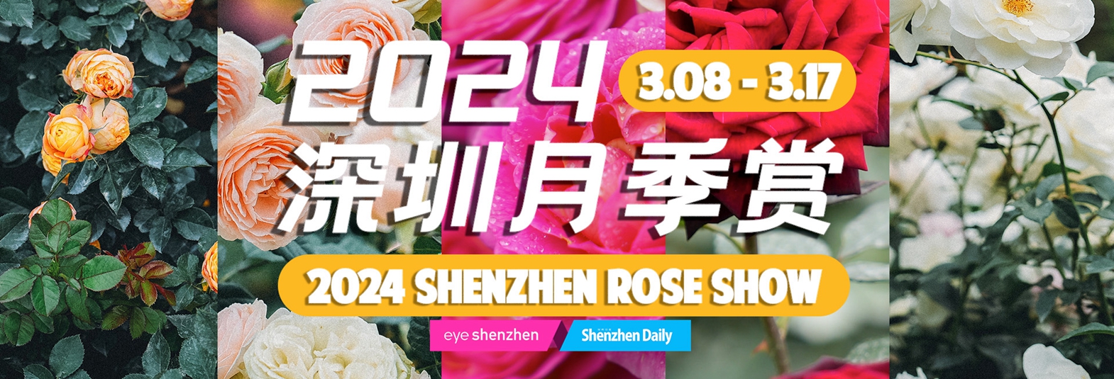 Shenzhen Rose Show enchants visitors_EYESHENZHEN