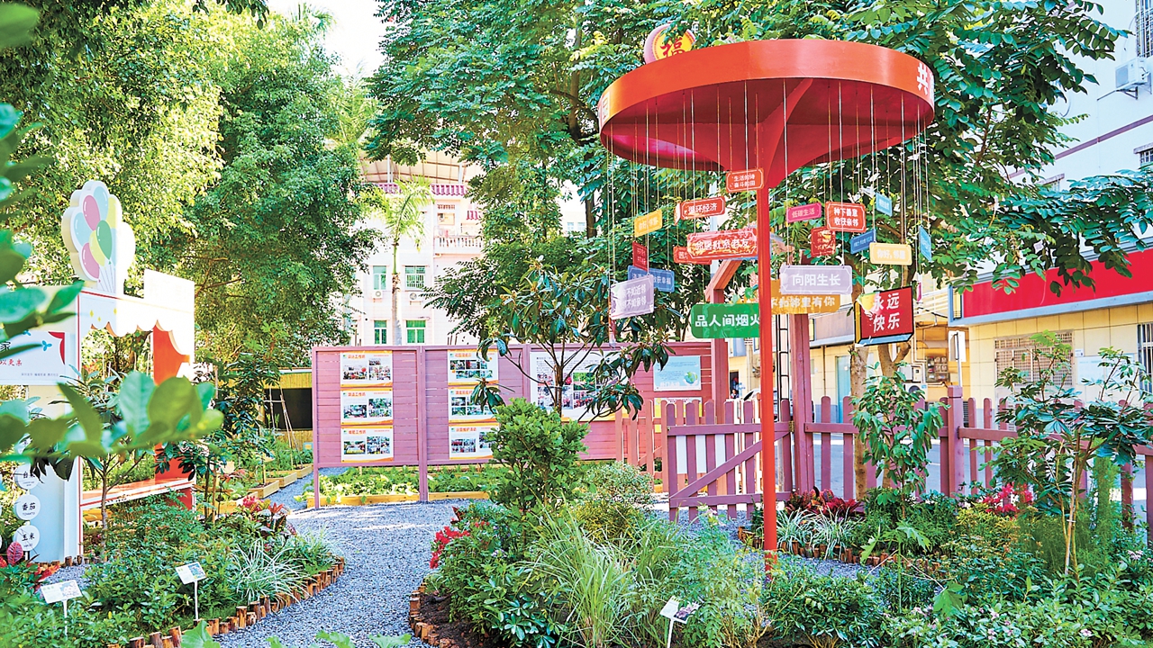 Shared farms sprout in Shenzhen's urban spaces_EYESHENZHEN