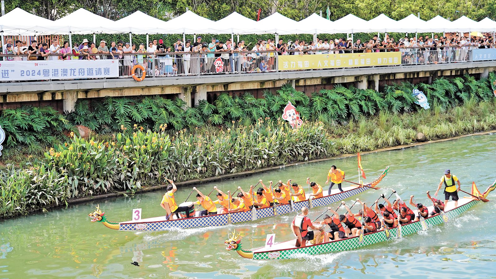 Festive fun in dragon boat races_EYESHENZHEN