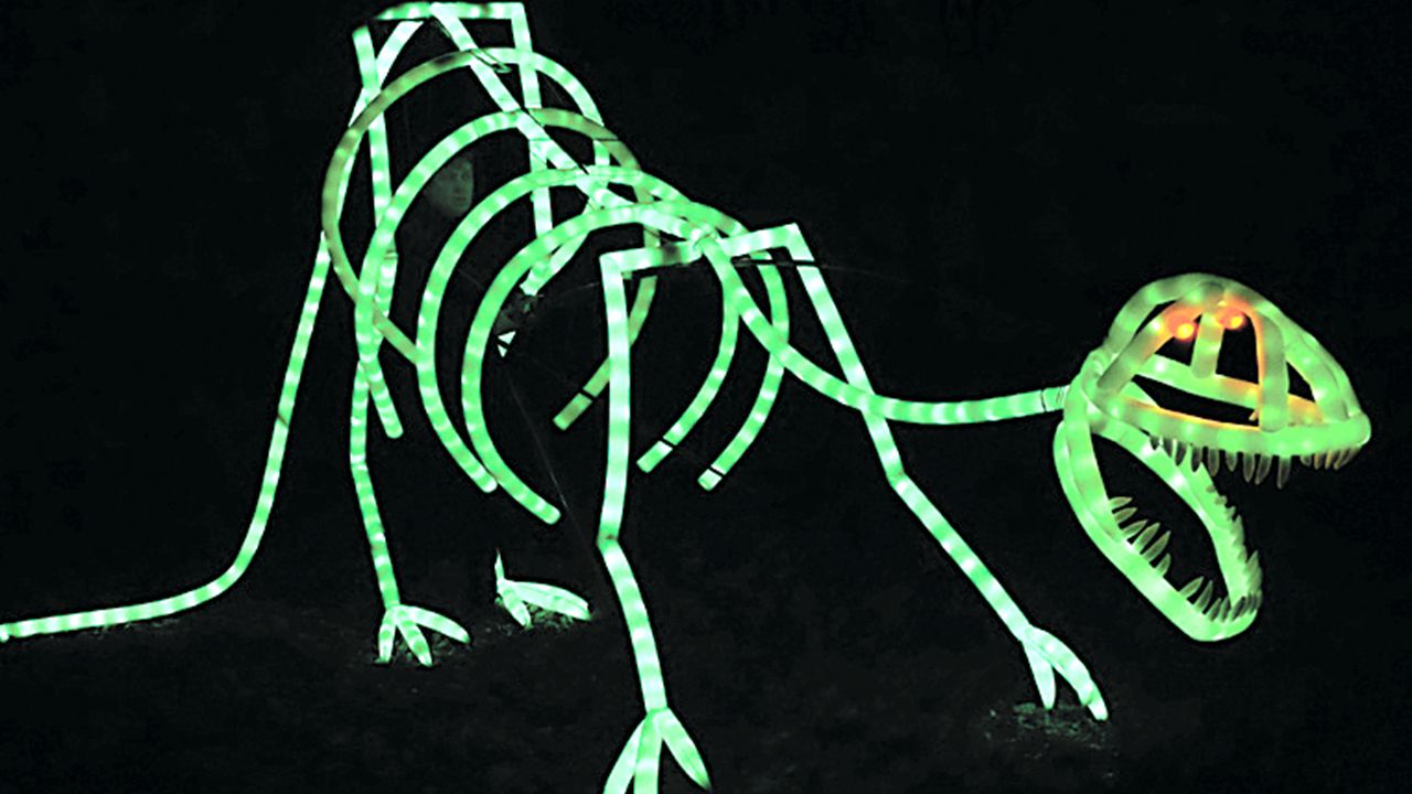 'The Light Puppets'_EYESHENZHEN