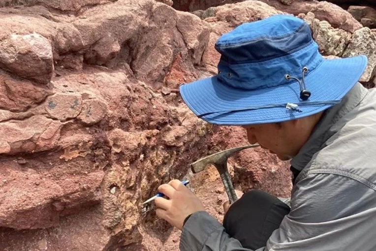 First-ever dinosaur fossils discovered in HK | EYESHENZHEN