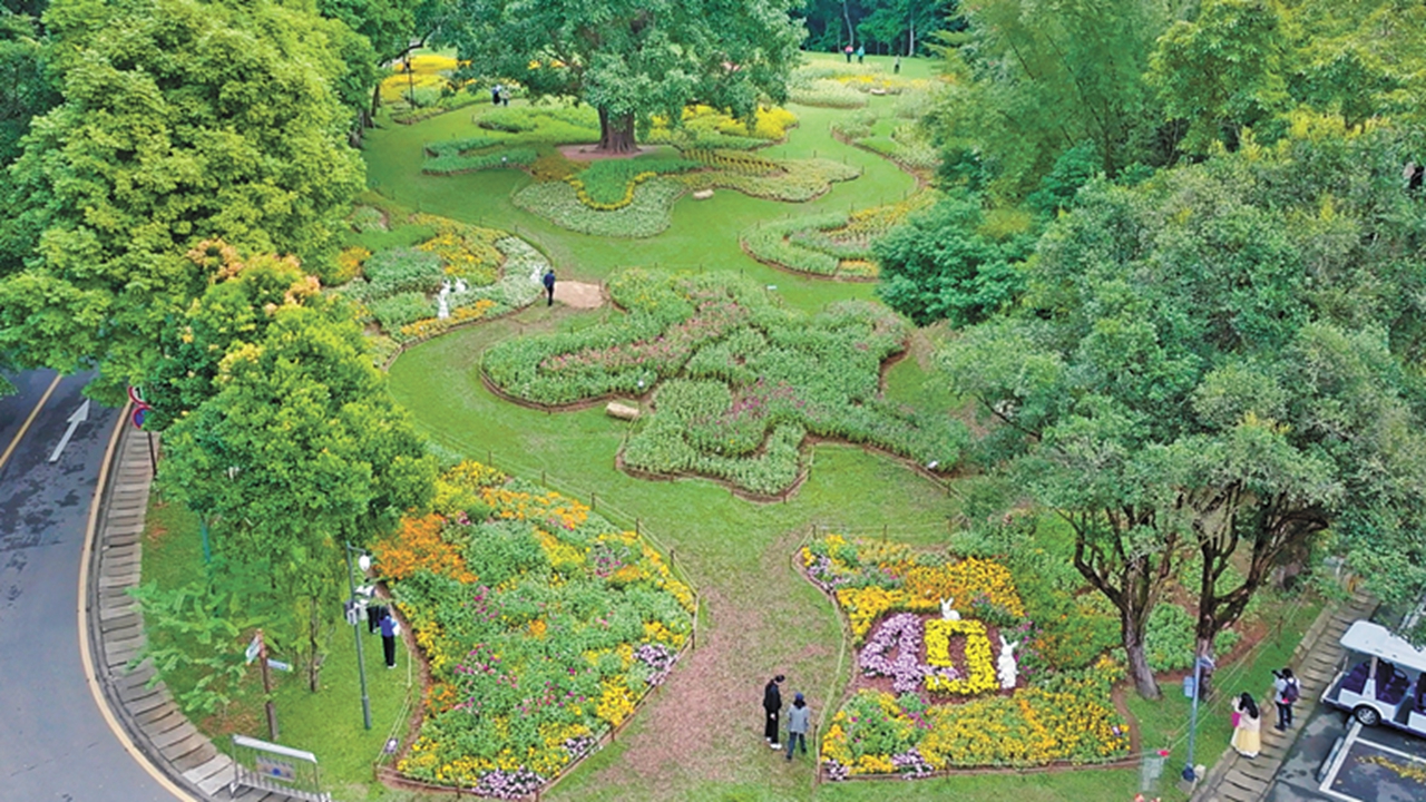 Fall's floral tapestry unfolds at garden | EYESHENZHEN