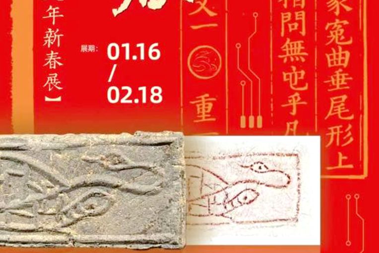 Snake-themed exhibition | EYESHENZHEN