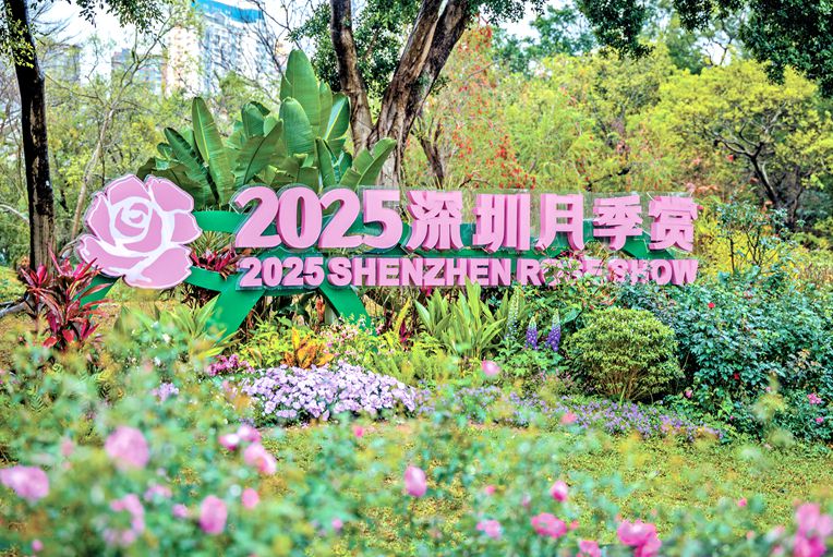 Enjoy spring splendor at rose show | EYESHENZHEN